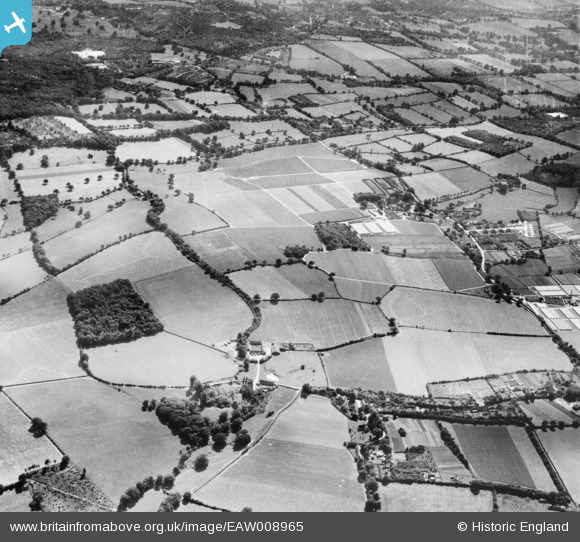 EAW008965 ENGLAND (1947). A. G. Linfield's Abingworth Nursery ...