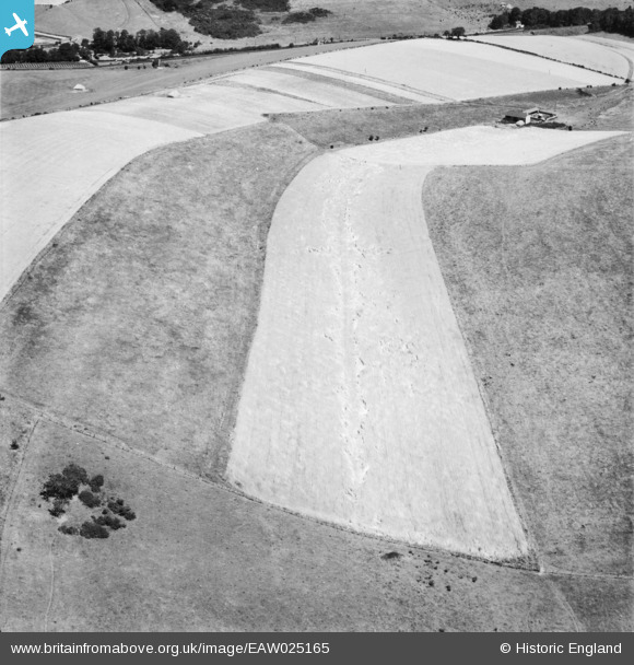 EAW025165 ENGLAND (1949). Damaged crops in a field near New Barn ...