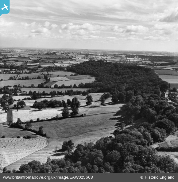 EAW025668 ENGLAND (1949). Part of Edge Hill Wood, Radway, from the ...