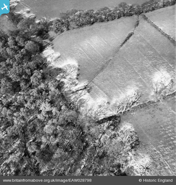 EAW028798 ENGLAND (1950). Snow remaining under the shadows of trees ...