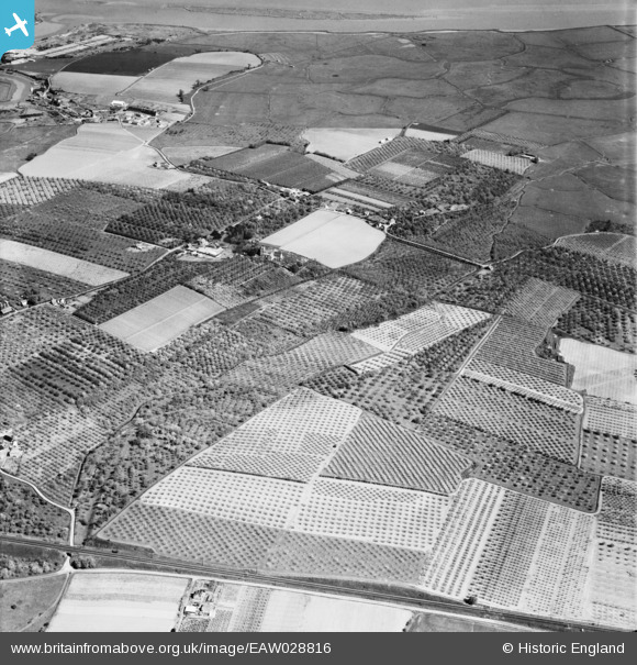 eaw028816 ENGLAND (1950). Orchards around Teynham Court Farm, Teynham ...