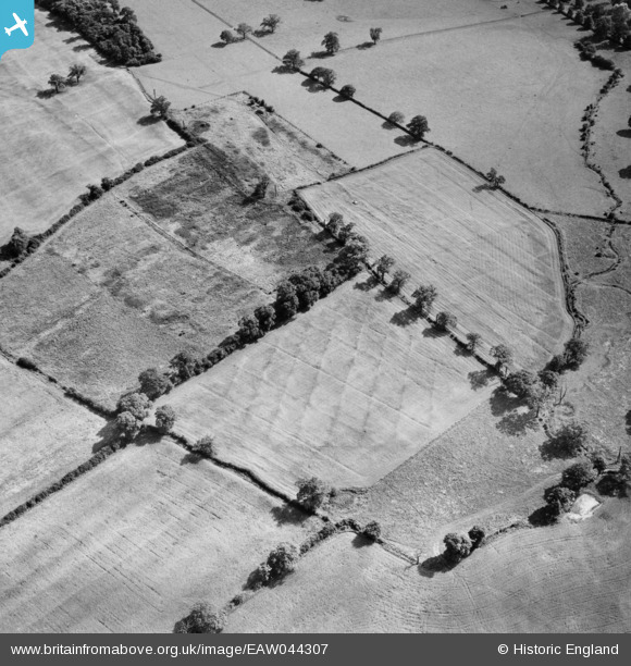 EAW044307 ENGLAND (1952). Fields near North Medburn Farm, Aldenham ...
