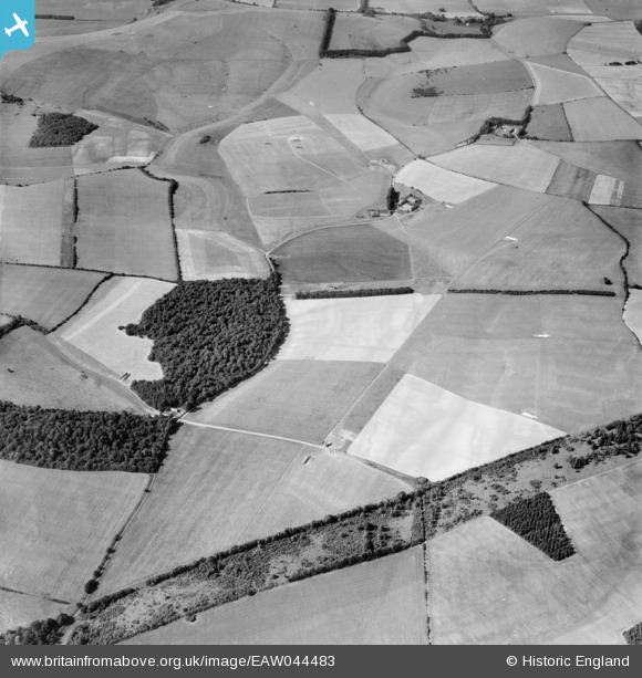 EAW044483 ENGLAND (1952). Hare Warren Copse, Caesar's Belt and environs ...
