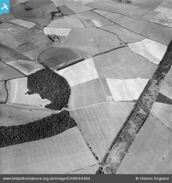 EAW044484 ENGLAND (1952). Hare Warren Copse, Caesar's Belt and environs ...