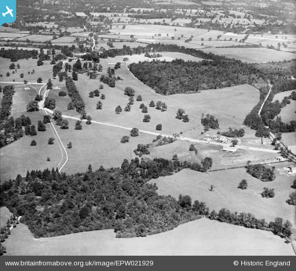 EPW021929 ENGLAND (1928). Gobions Wood and George's Wood, Brookmans ...