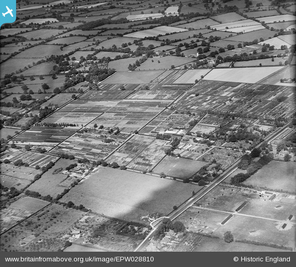 epw028810 ENGLAND (1929). Lowfield Nurseries, Lowfield, Heath, 1929 ...