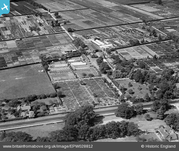 epw028812 ENGLAND (1929). Lowfield Nurseries, Lowfield, Heath, 1929 ...