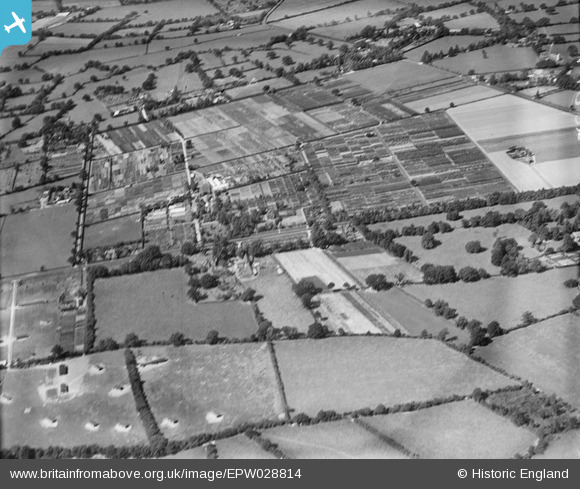 epw028814 ENGLAND (1929). Lowfield Nurseries, Lowfield, Heath, 1929 ...