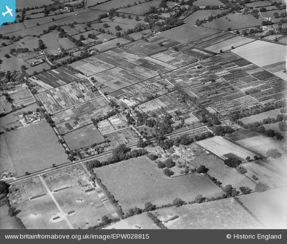 epw028815 ENGLAND (1929). Lowfield Nurseries, Lowfield, Heath, 1929 ...