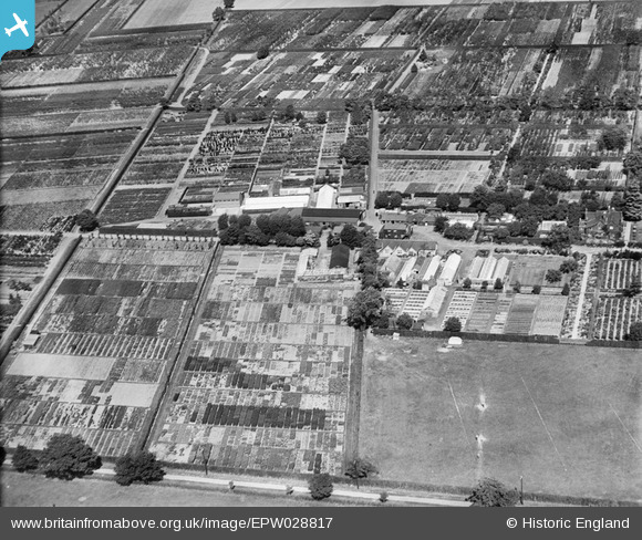 EPW028817 ENGLAND (1929). Lowfield Nurseries, Lowfield, Heath, 1929 ...