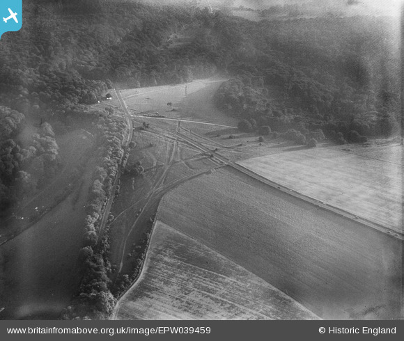 EPW039459 ENGLAND (1932). Whiteways Plantation, Houghton Forest, 1932 ...