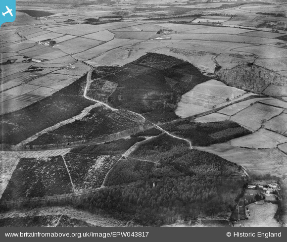 epw043817 ENGLAND (1934). Chopwell Wood and the Garesfield and Chopwell ...