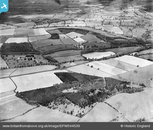 EPW044539 ENGLAND (1934). Kidderminster Foreign, Bissell Wood and ...