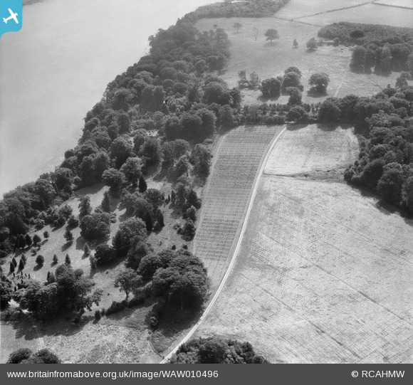 WAW010496 WALES (1947). View of tree plantation, Plas Newydd ...