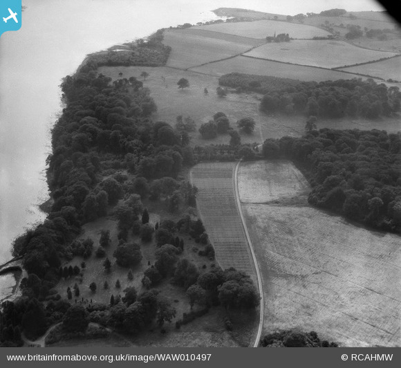 WAW010497 WALES (1947). View of tree plantation, Plas Newydd ...