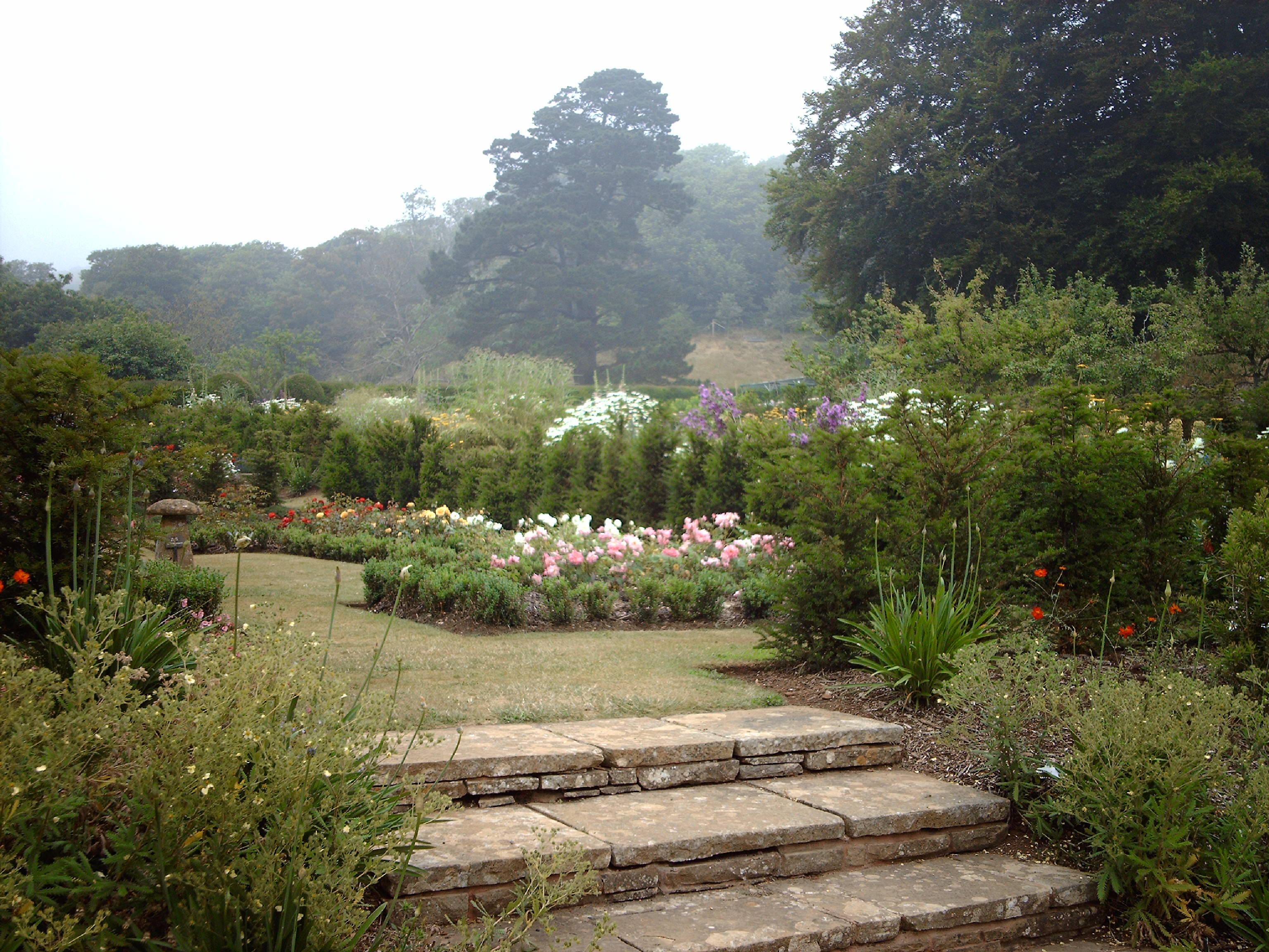 EAW015254 ENGLAND (1948). Mottistone Manor, Mottistone, 1948 | Britain ...