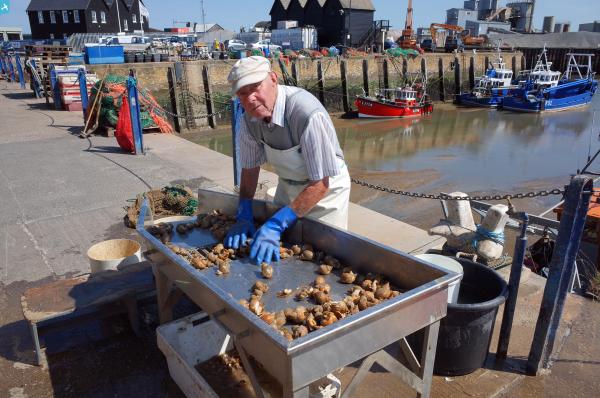 epw018623 ENGLAND (1927). The Harbour, Whitstable, 1927 | Britain From ...