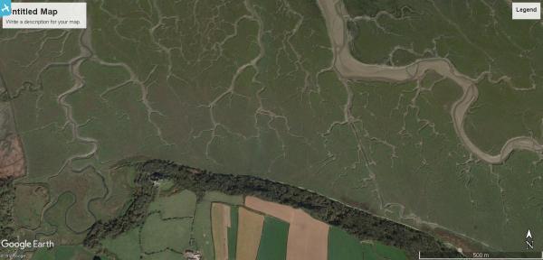 WAW033699 WALES (1950) [Unlocated]. View of mud patterns in the Loughor ...