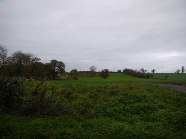EAW052863 ENGLAND (1953). Ditcheat Hill Farm and the surrounding ...
