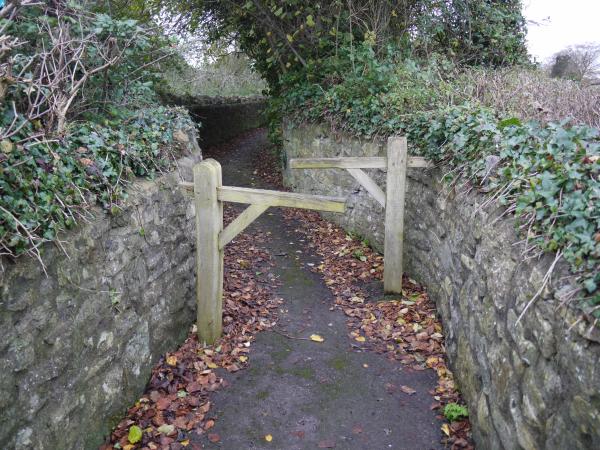 EAW052863 ENGLAND (1953). Ditcheat Hill Farm and the surrounding ...